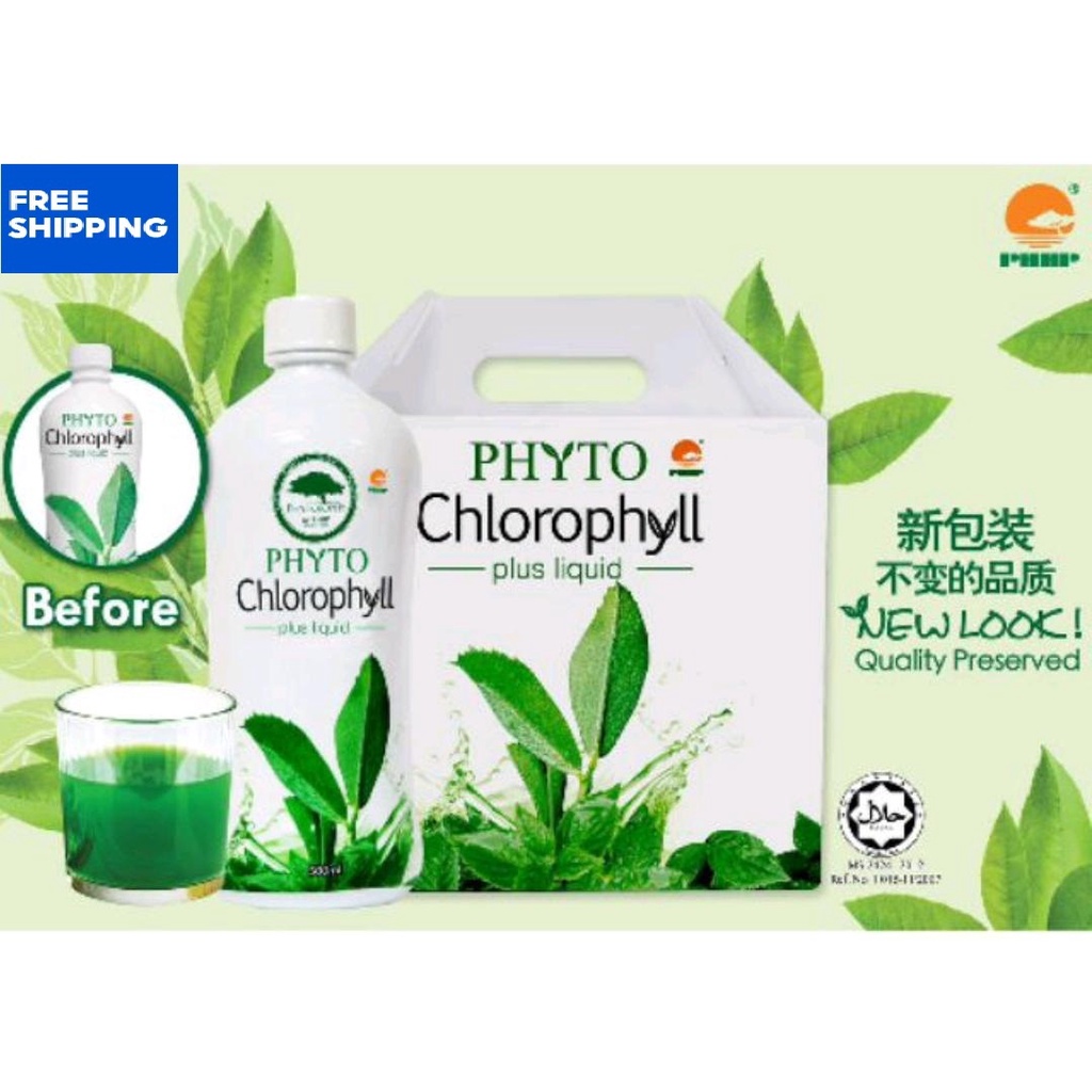 PHHP PHYTO CHLOROPHYLL (6 BOTTLES) | Shopee Singapore