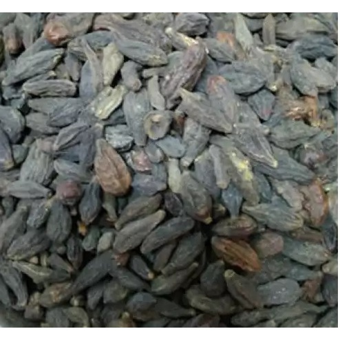 Pinju Kadukkai - Rare Fruit - Small Inknut 200g | Shopee Singapore