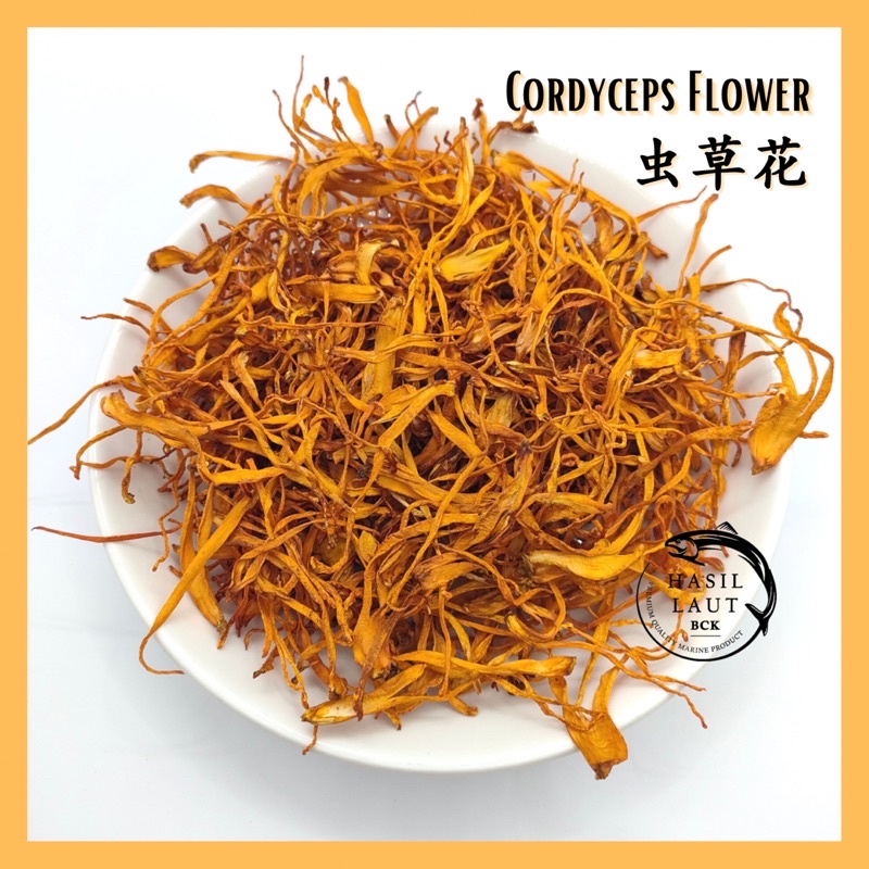 Cordyceps Flower | 虫草花 (200g) | Shopee Singapore