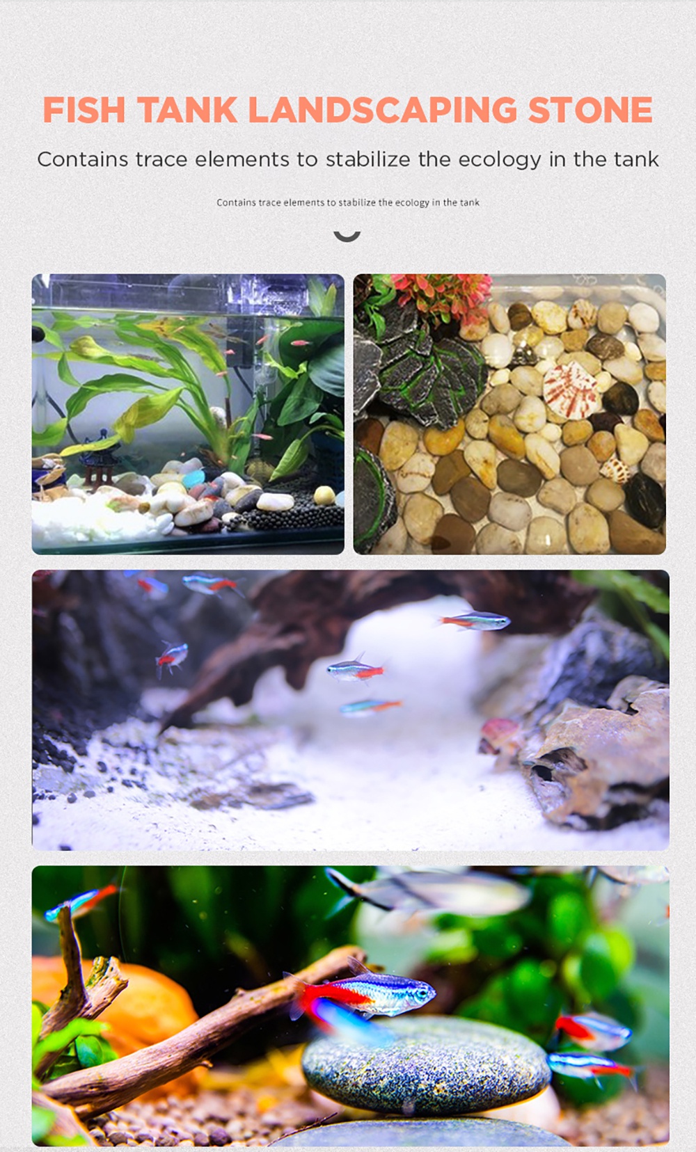YEE Aquarium Stone, Fish Tank Decoration Stone, Shells And Sand ...