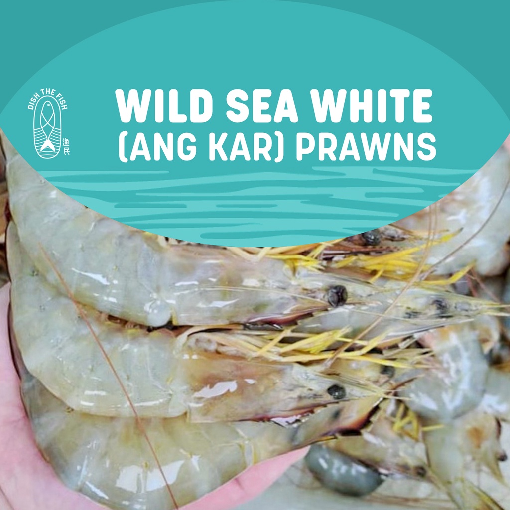 Dish The Fish Wild Sea White (Ang Kar) Prawns (Medium Size, 500G ...