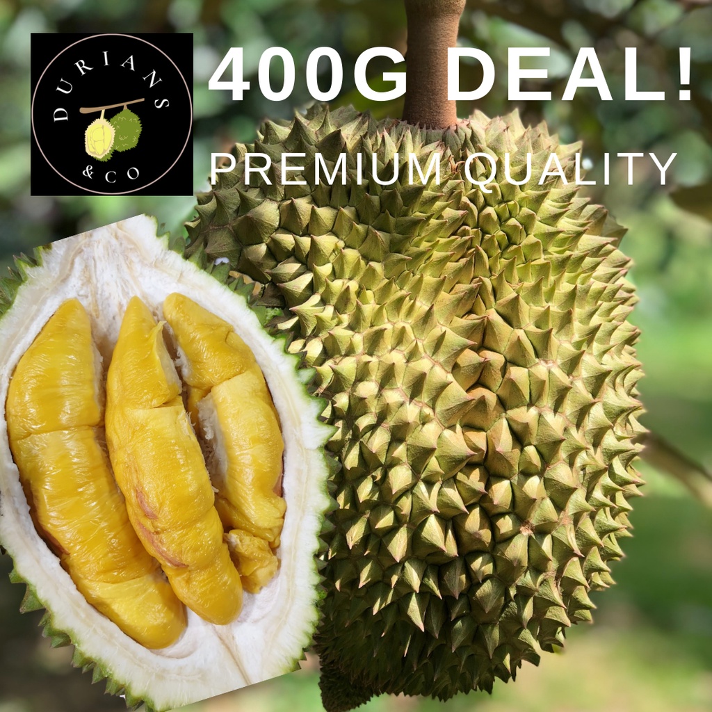 [FRESHLY PACKED] PAHANG Old Tree MSW Durian 400g/box | Shopee Singapore