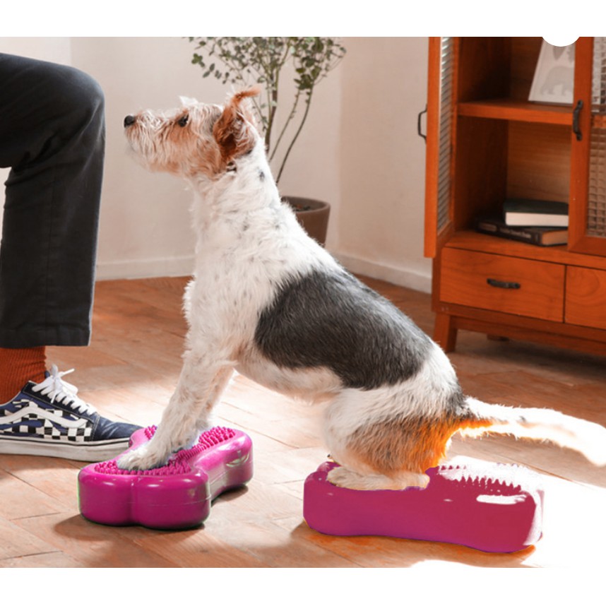 FitPAWS Mini K9FITbones 11.5 inches Fitbone Bone for small dogs fitness ...