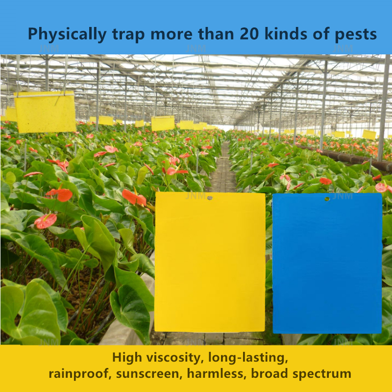 50pcs Double-sided Sticky Insect Board Fruit Fly Traps Vegetable Garden ...