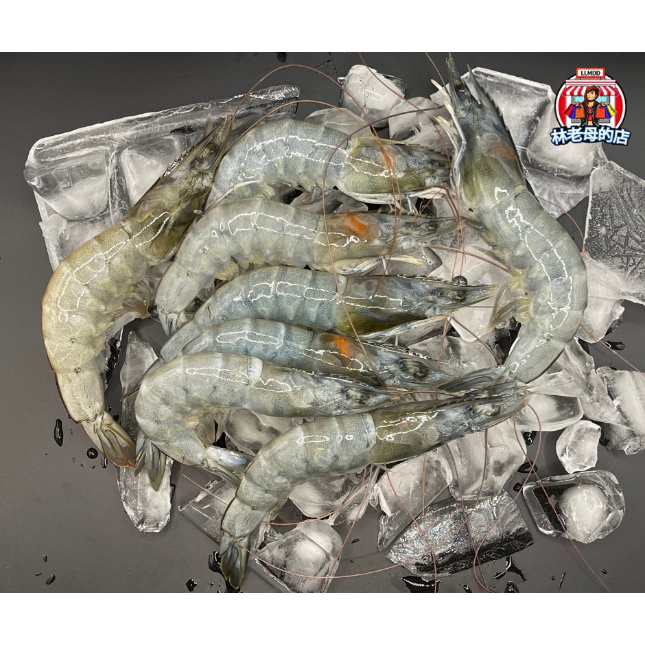 Fresh Grey Prawn ($27 per kg) | Shopee Singapore