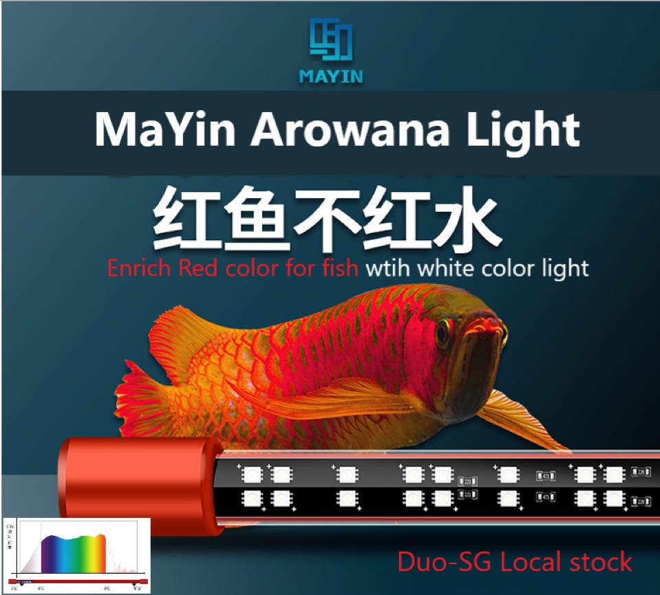 🔥Mayin authorized SG seller🔥Mayin fish light tanning light 13000k/2700k ...