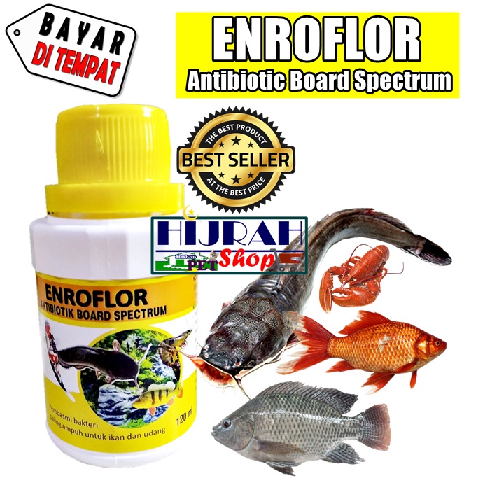 KOI Antibiotic Fish Medicine Treat All Fresh Water Diseases Fried Fish ...