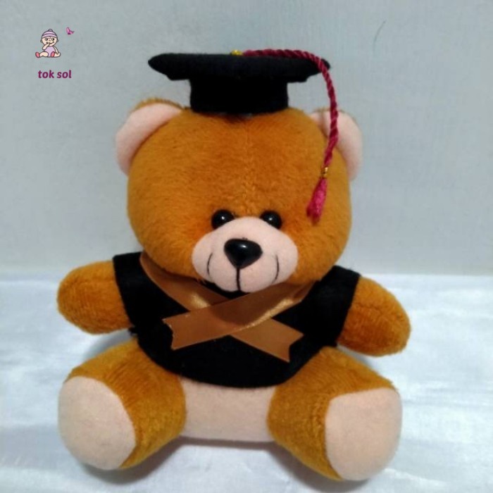 Supper Mini Teddy Bear Dolls For Additional Balloons - Graduation Dolls ...