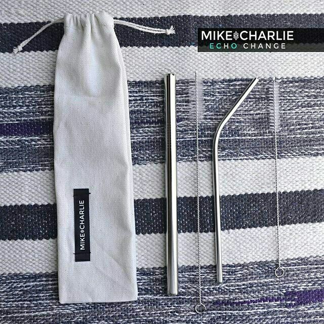 Silver Eco Set 2 (Stainless straw, Metal Straw) | Shopee Singapore