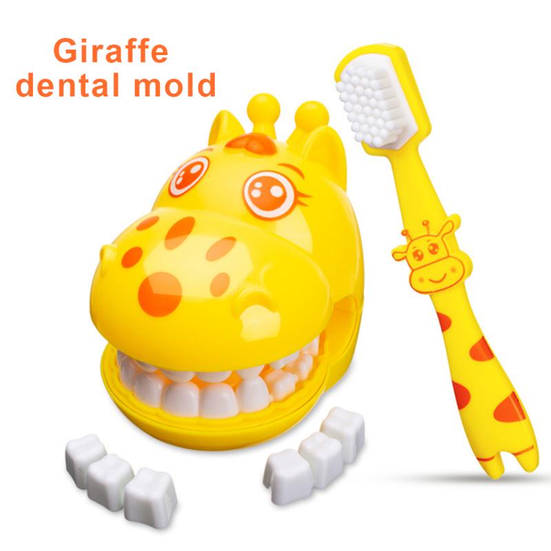 Tooth Brush Demonstration Dental Teaching Model Dental Model Dental ...