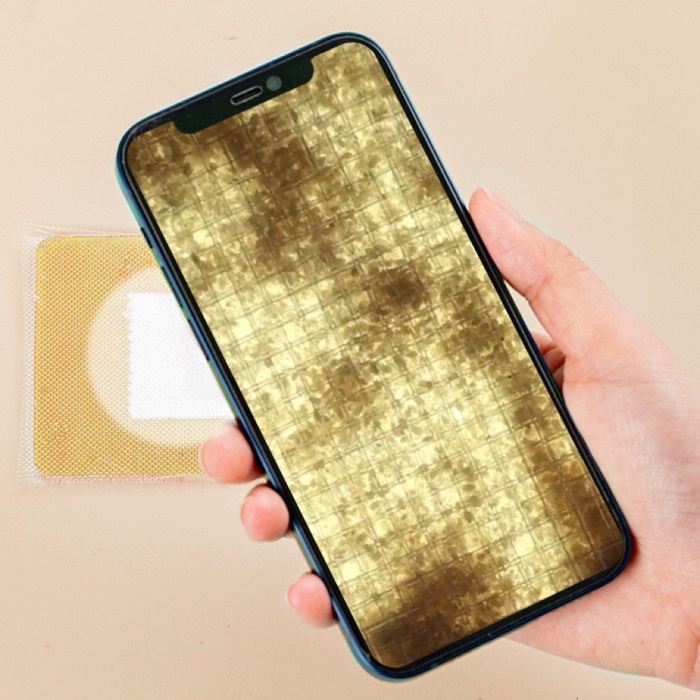 Japan Visible Dust Mites Trap Sheet 去除尘螨 捕捉尘螨 | Shopee Singapore