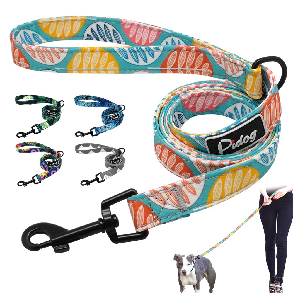 4ft Nylon Dog Leash Clip Rope Soft Padded Pet Walking Leads for Small ...
