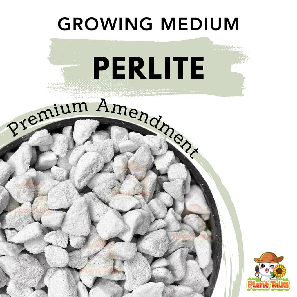Plant Talks Perlite for Soil Amendment Plant Soil | Shopee Singapore