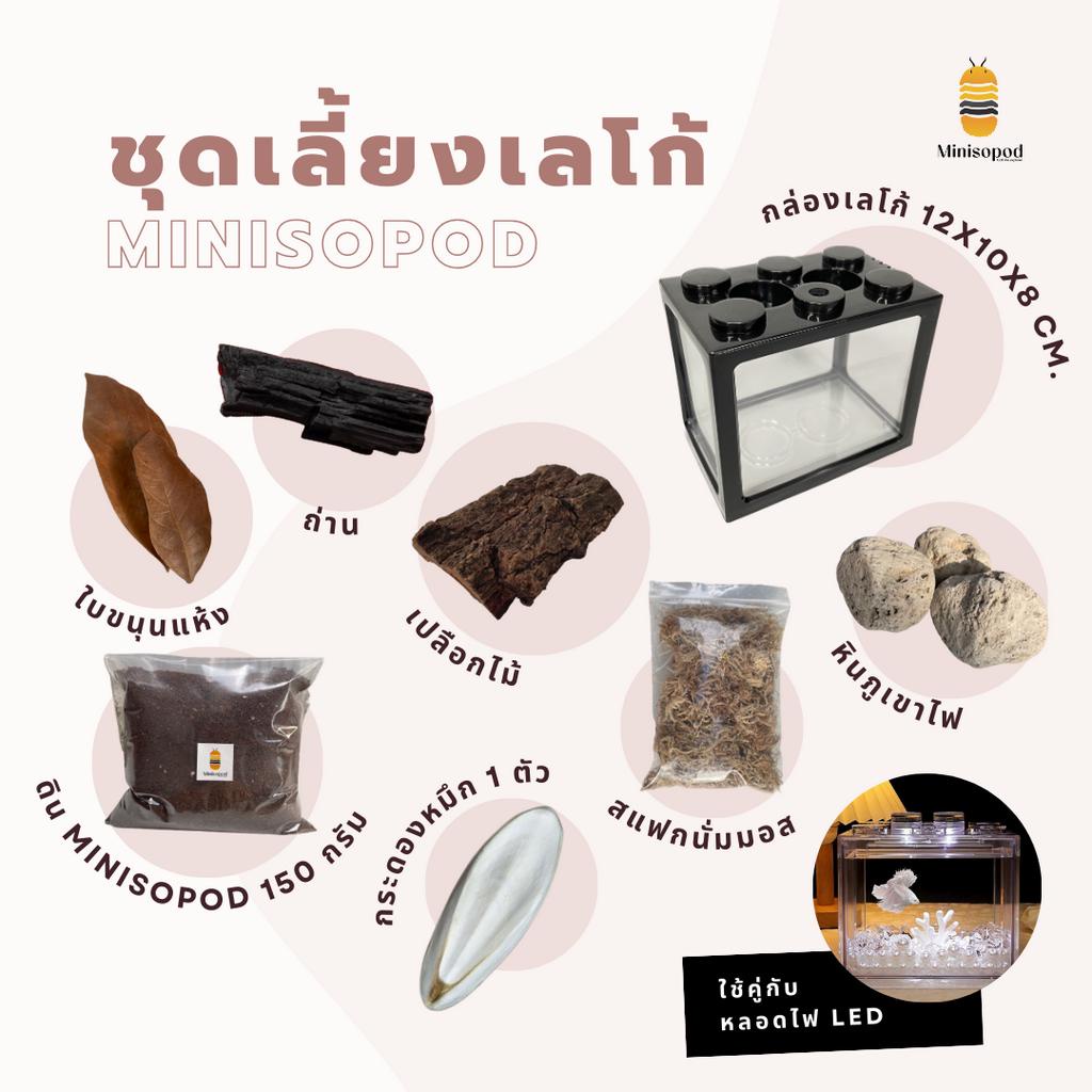 Lego Box isopod Raising Kit Minisopod | Shopee Singapore