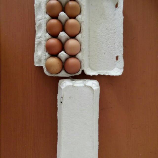 10 cardboard Egg box / cardboard Egg packaging | Shopee Singapore