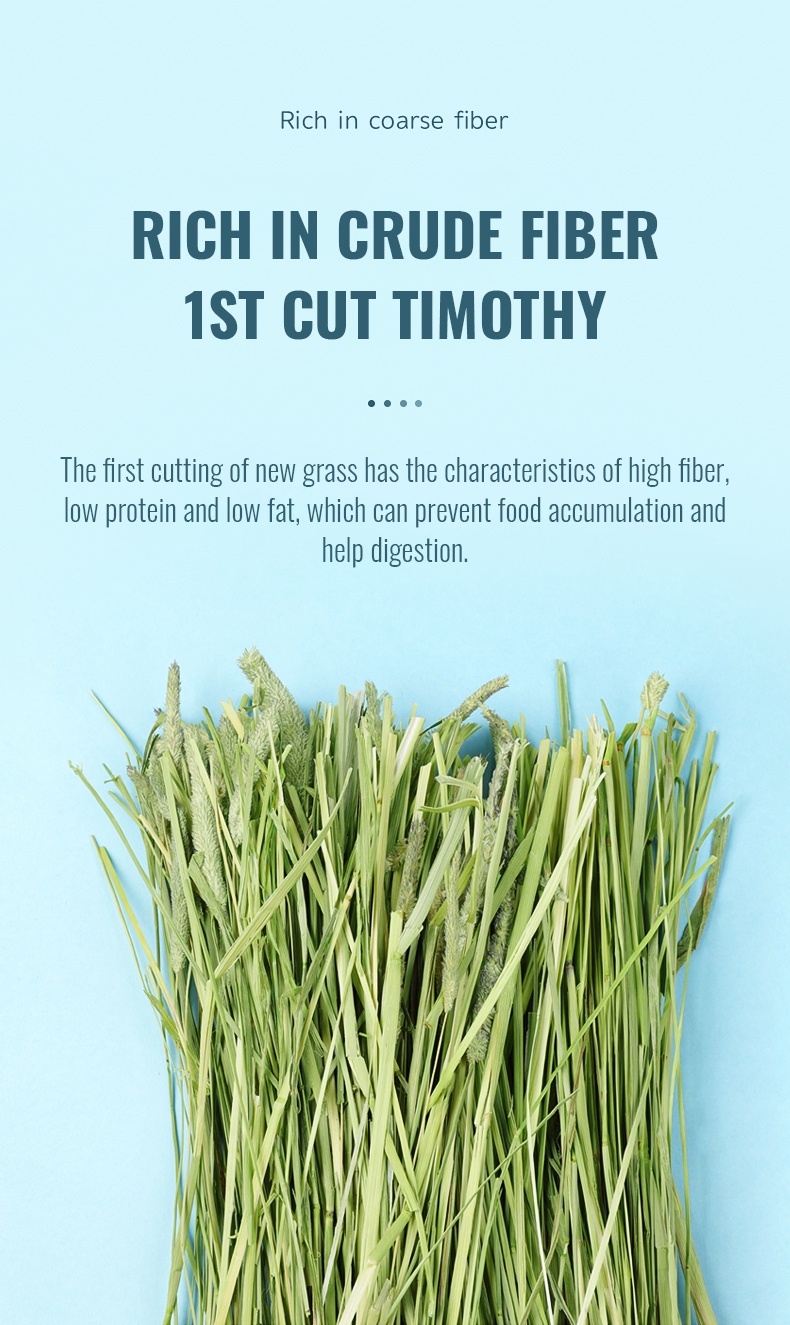 YEE Timothy Hay, Dry Grass For Bunny, Chinchilla, Guinea Pig, Rabbit ...