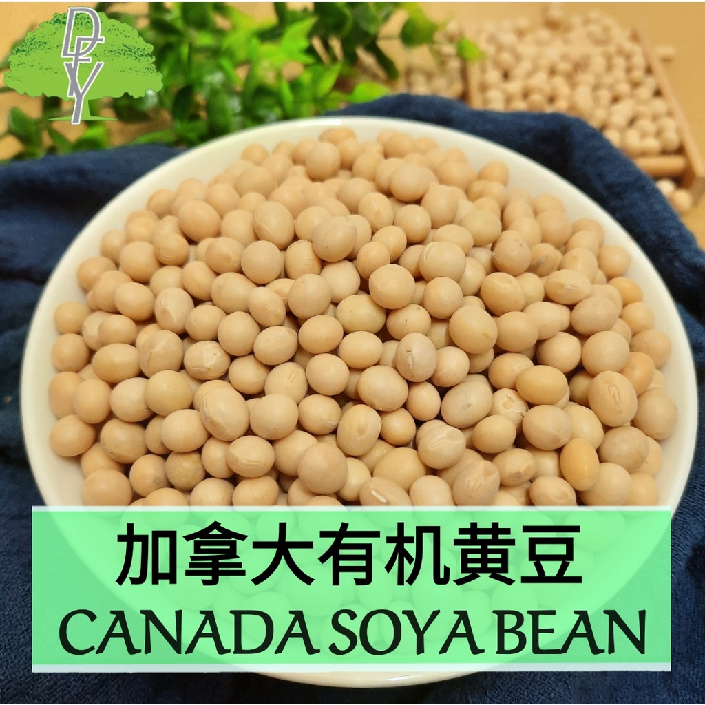 Soybean Beans/Soya Beans (500G/1KG) | Shopee Singapore