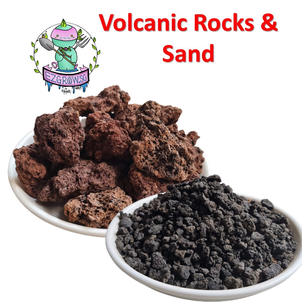 1 L Volcanic Sand / Red Lava Rock(fr SG) | Shopee Singapore