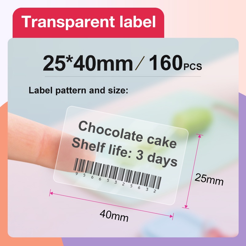 Niimbot D101 Large Size Label Printer Thermal Label Maker, For Home ...