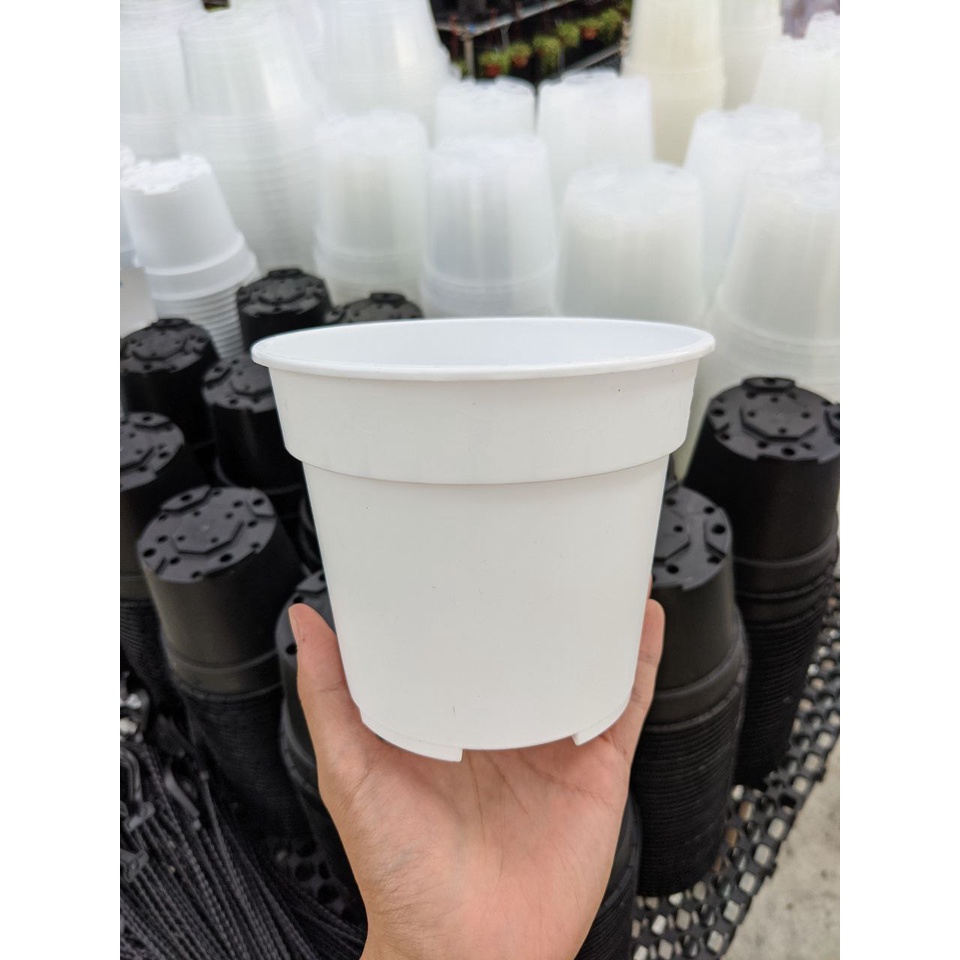 General Use Plastic Flower Pot (White) 150mm - For Plants, Flowers ...