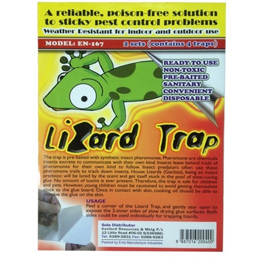 Lizard Trap 4pcs Trap | Shopee Singapore
