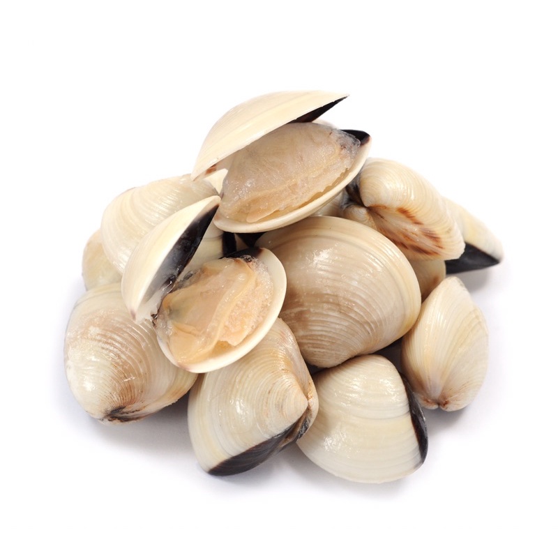 Master Grocer Clam (Lala White Shell) Frozen 500g | Shopee Singapore