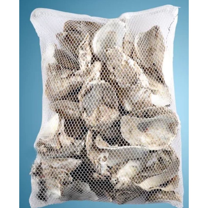 Oyster shell for aquarium tank . Increase & stabilise PH & KH. Prevent ...