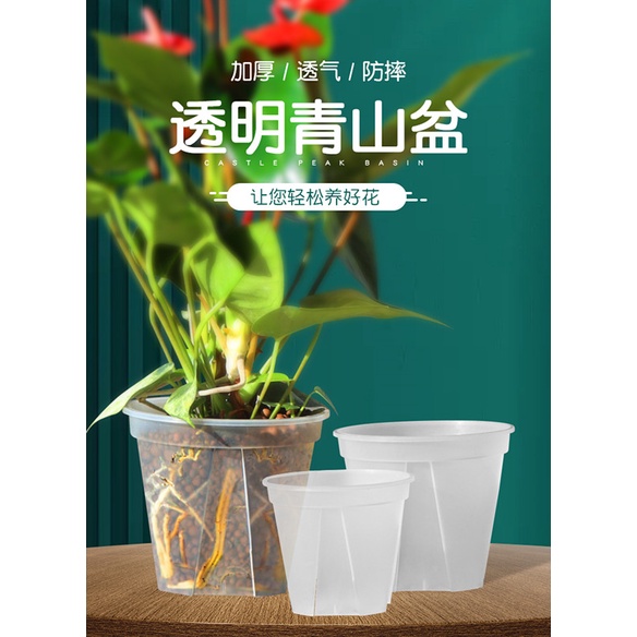 [Bundle Set] Quality PP Clear Translucent Plastic Plant Flower Pots ...