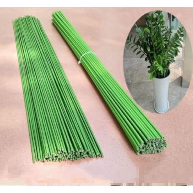 Plant stakes 10pcs Iron Wire Rod Support Rods Plant support rod Garden ...