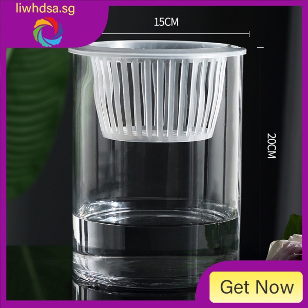 Hydroponic Plant Glass Bottle Transparent Straight Cylindrical Vase ...