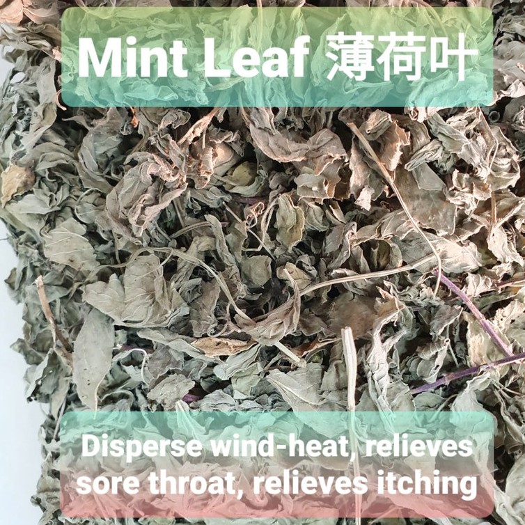 TCM Herb - Mint Leaf 薄荷叶 Bo He Ye Peppermint | Shopee Singapore