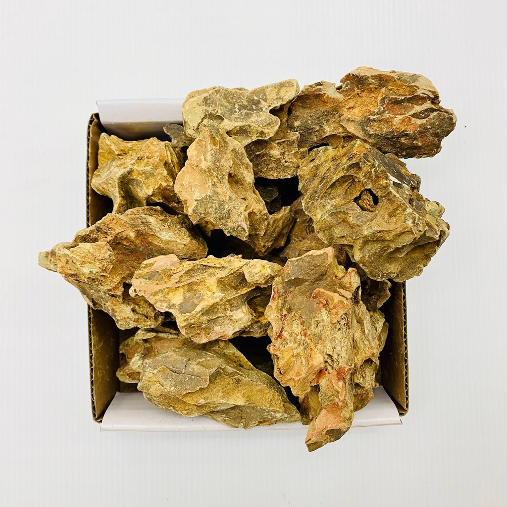 Dragon Rocks - Aquascaping Natural Rocks Aquarium | Shopee Singapore