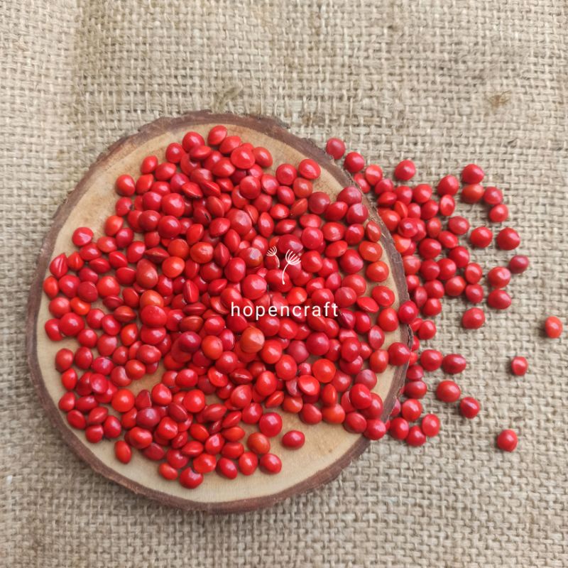 [100 grams] Dried Saga Seeds | Saga Tree | Shopee Singapore