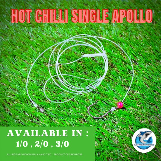HOT CHILLI SINGLE APOLLO FISHING RIG | PATERNOSTER RIG | Shopee Singapore