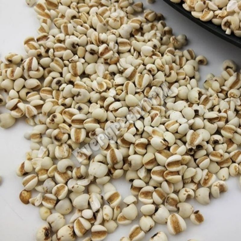 [Raw] Barley Barley Barley 100g/Chinese Raw Barley 100g (Coix Seed ...