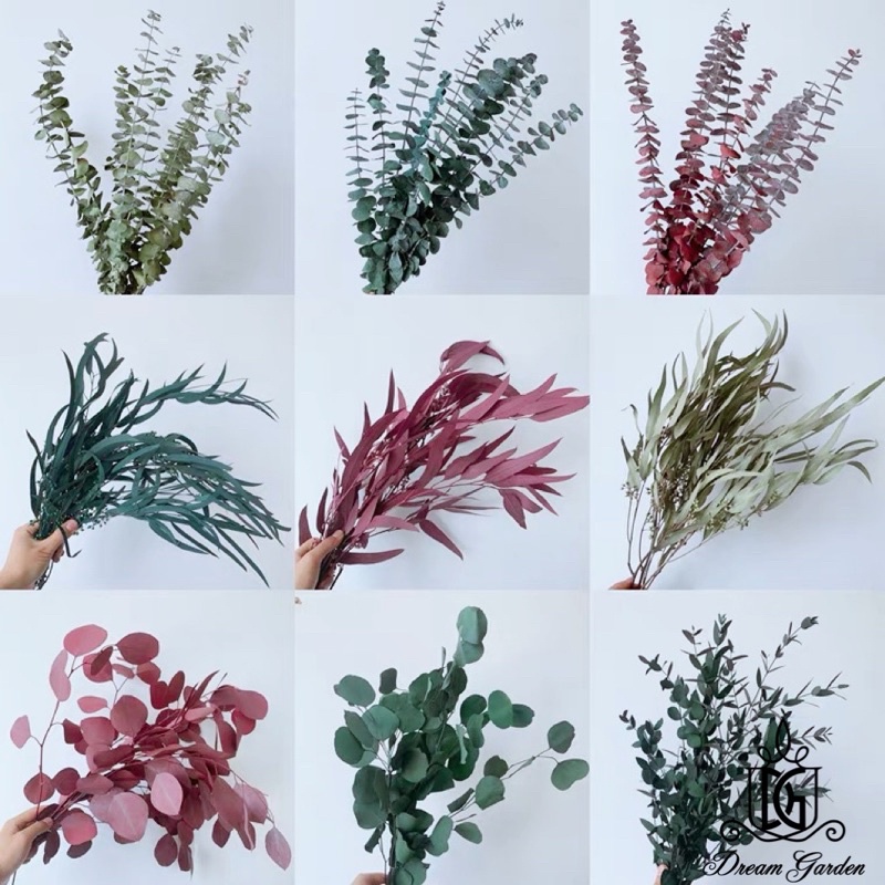 🇸🇬[SG Stock]Singapore Local Wholesaler Dream Garden Preserved Flowers ...
