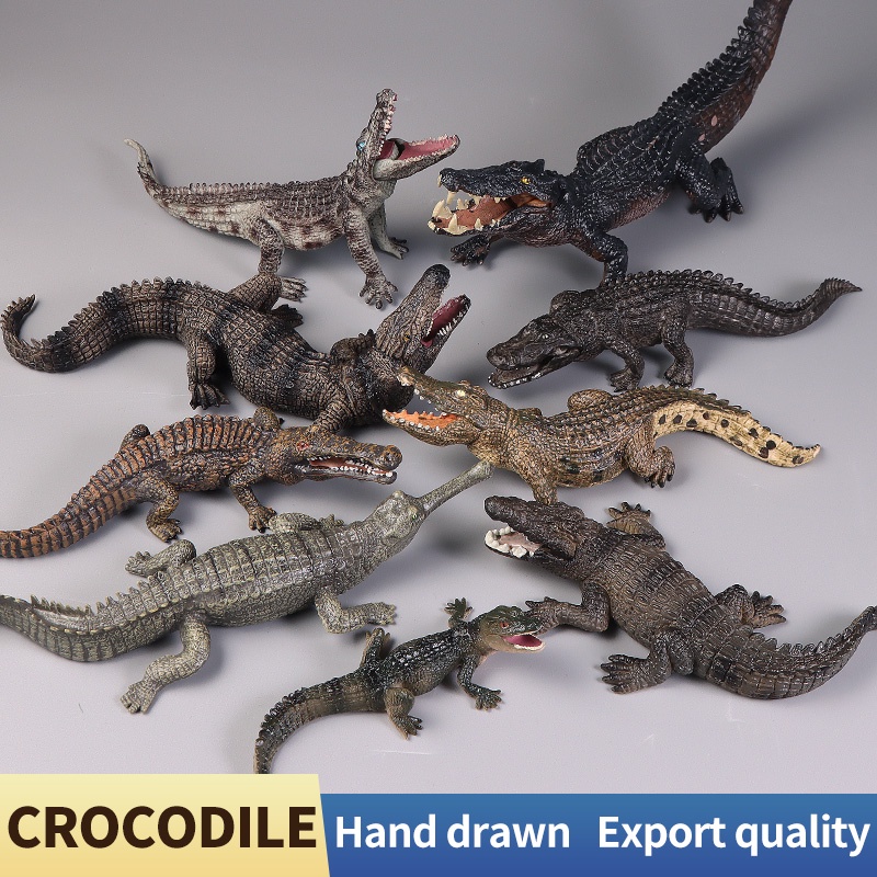 Simulation Nile crocodile/king crocodile/Boar crocodile/Yangtze ...