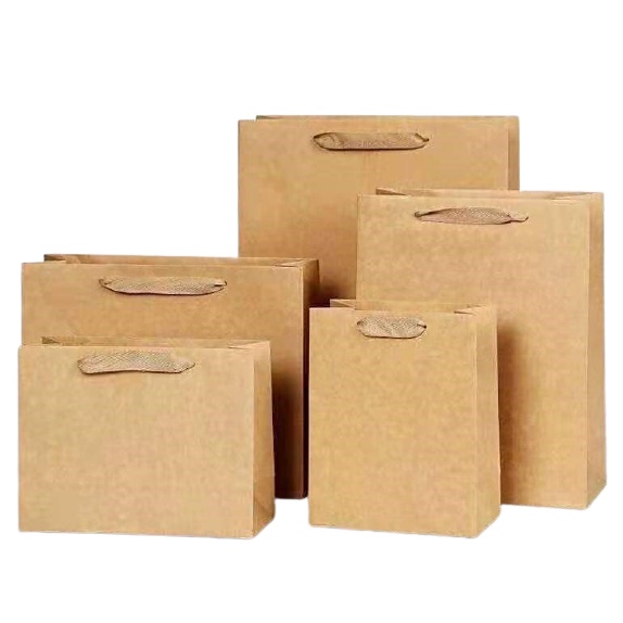 Kraft / Frosted Paper Bag | Shopee Singapore