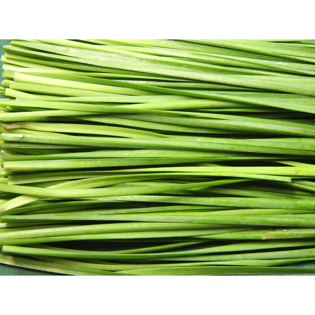 Cameron Highlands Qing Long Cai 金马伦青龙菜 | Shopee Singapore