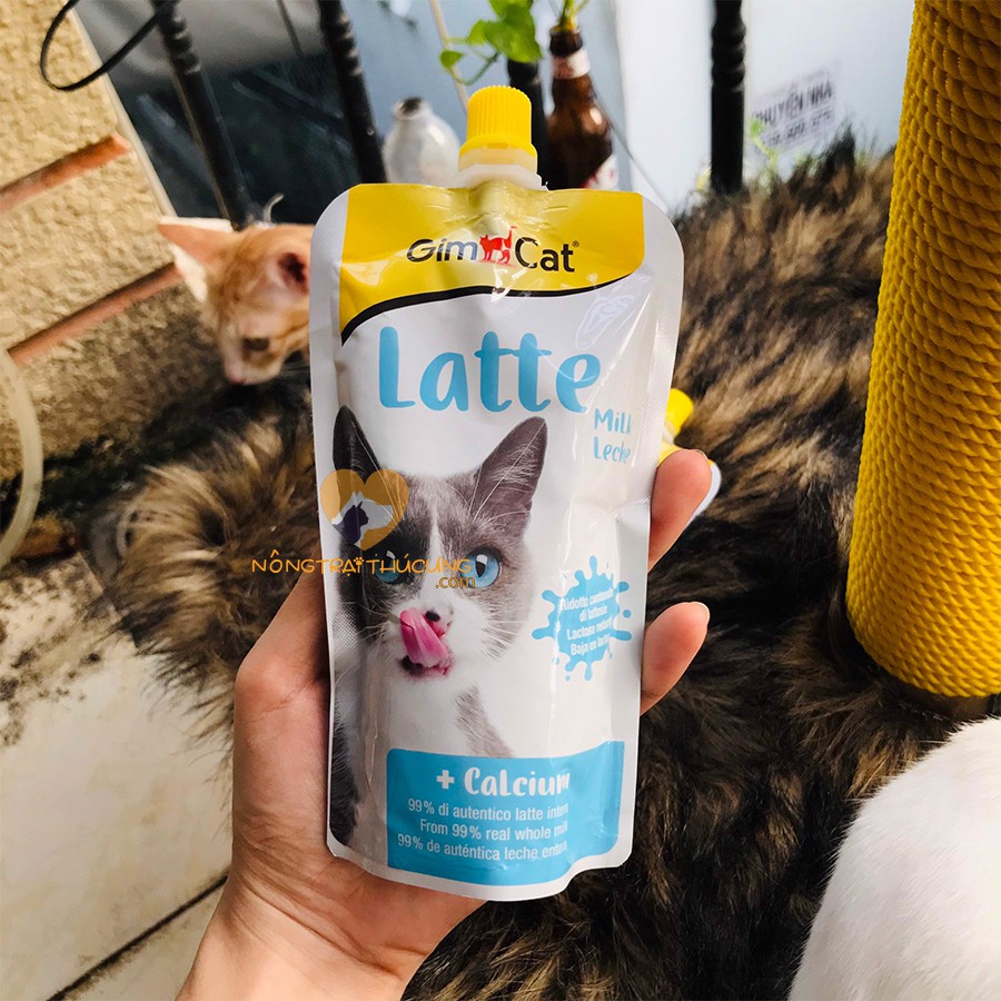Latte Gilcat Milk For Cats Calcium Supplement Gimcat Latte Milk Leche ...