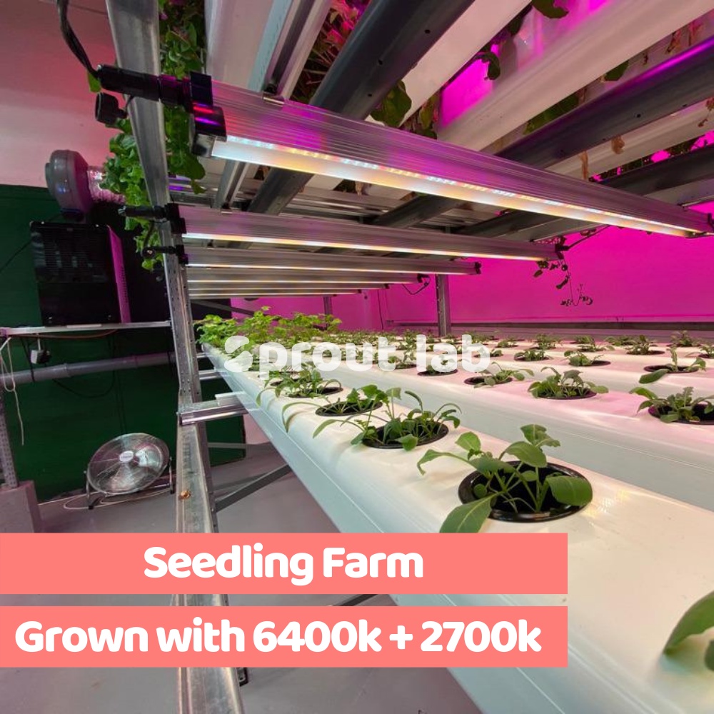 Sprout lab | T5 LED Grow Light for Plants Full Spectrum | 24 watt/48 ...