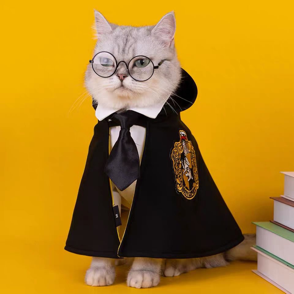MOLAMGO Pet Clothes Dress Up College Style Cape Halloween Cosplay for ...