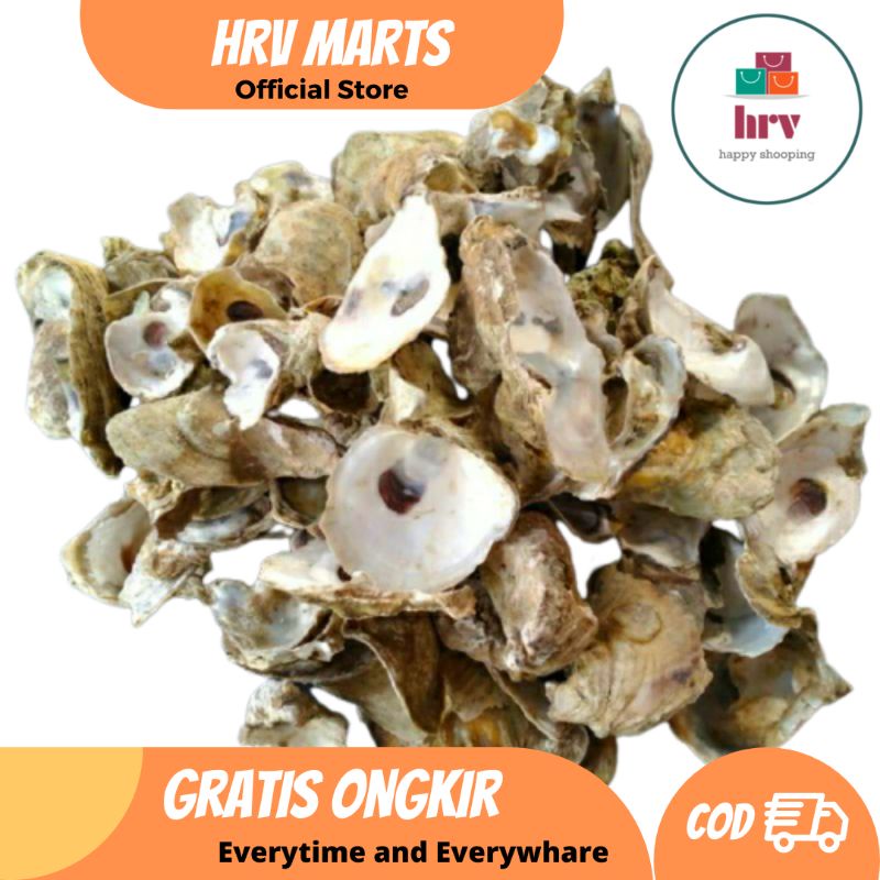 Oyster shell, oyster shell, koi pond filter media, 1 kg | Shopee Singapore