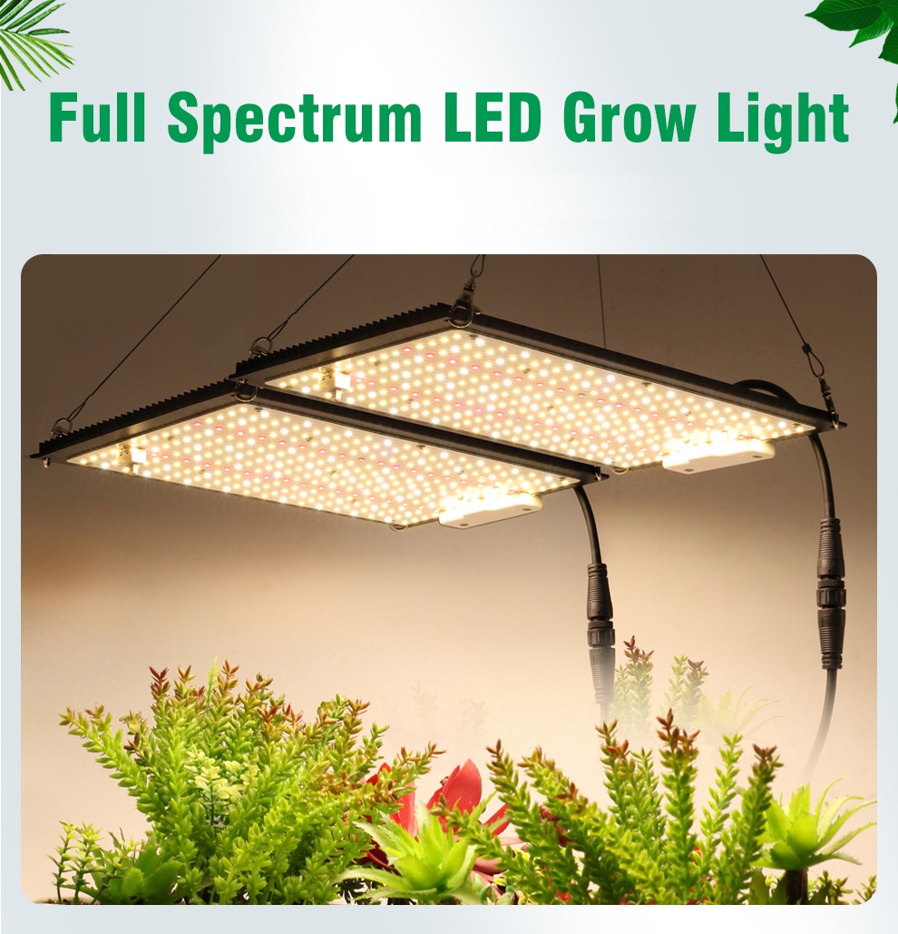 Samsung LM281B LED Grow Light Full Spectrum 1000w 2000W Plant Light ...