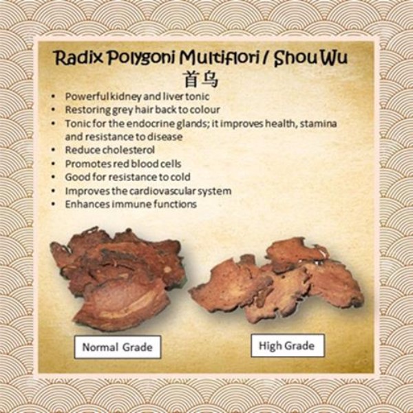 100g Radix Polygoni Multiflori (Shou Wu) | Shopee Singapore