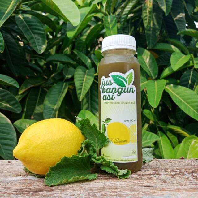 Torbangun Leaf Juice ASI BOOSTER 250ml Fresh Lemon - Bangun Breast Milk ...