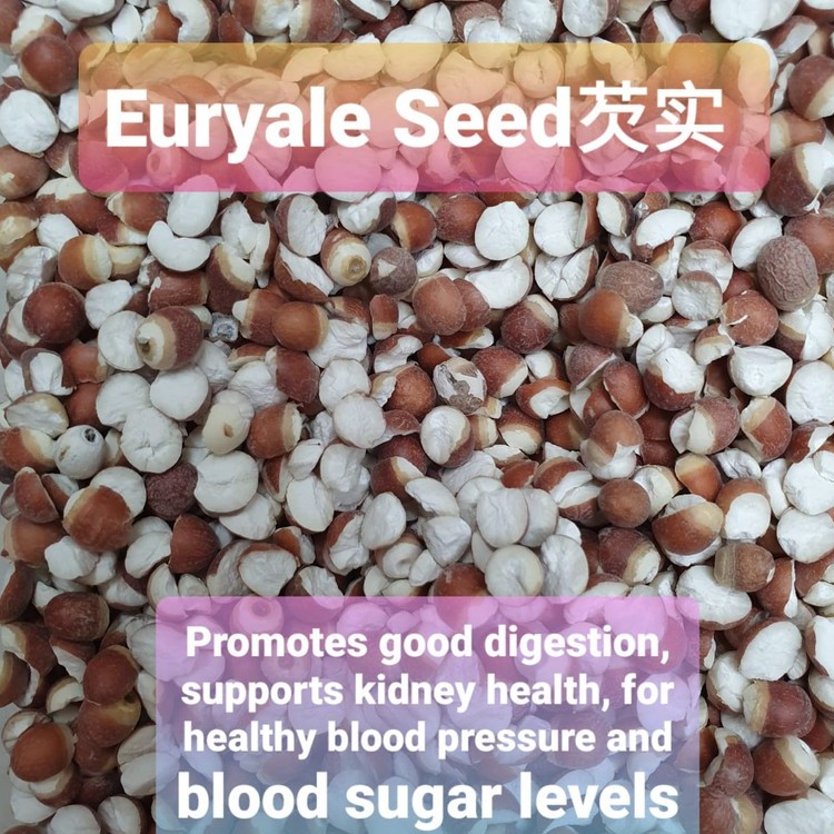 TCM Herb - Euryale Seed 芡实 Qian Shi | Shopee Singapore