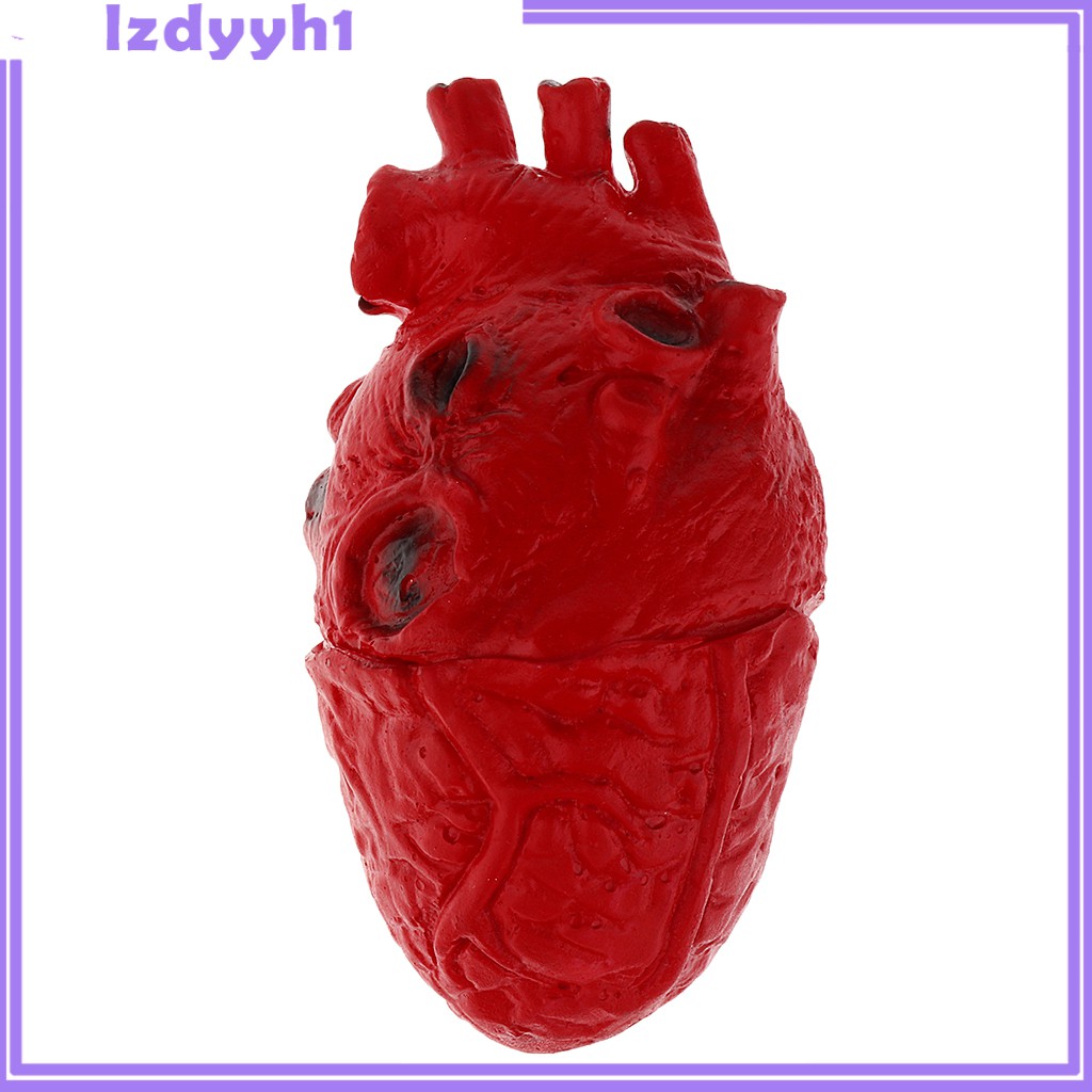 JoyDIY GIFT FAKE HUMAN HEART Scary Haunted House Halloween Horror Prop ...