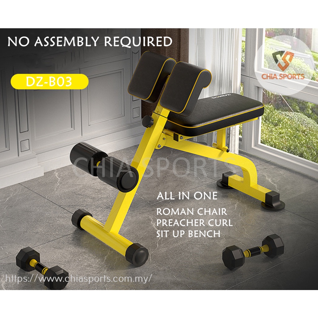 Preacher Curl Weight Bench DZ-B03 Foldable Dumbbell Stool Roman Chair ...