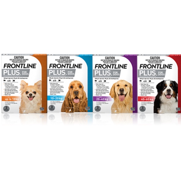 FRONTLINE PLUS FOR DOGS 3 pipettes | Shopee Singapore